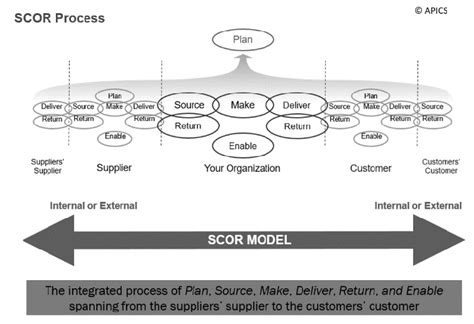 Scor Model Organisation Download Scientific Diagram