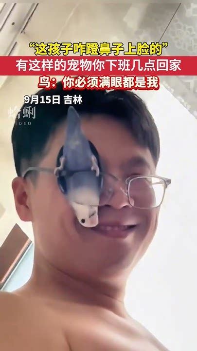 “這孩子咋蹬鼻子上臉的”，有這樣的寵物你下班幾點回家，鳥：你必須滿眼都是我 Youtube