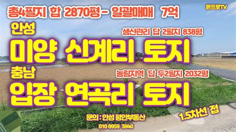 안성 미양 신계리생산관리충남 입장연곡리농림지역토지 총 2870평 매매 7억 Youtube