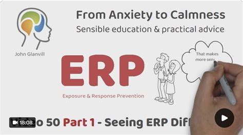 ERP Mini Series Preview Of The Negative ERP Trap