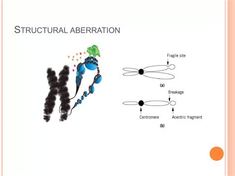 Chromosomal Aberration Pptx