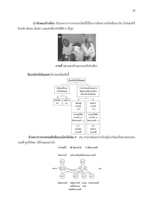 แผนการจัดการเรียนรู้ วิชาวิทยาศาสตร์เพื่อพัฒนาอาชีพธุรกิจและบริการ Oranut หน้าหนังสือ 35