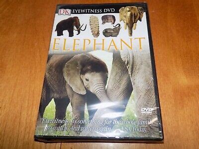 Elephant Dk Eyewitness Elephants Africa India African Wildlife Animal