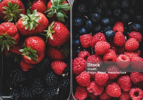 메탈 도시락에서 신선하고 잘 익은 제철 베리 클로즈업 탑 뷰 건강한 생활방식에 대한 스톡 사진 및 기타 이미지 건강한 생활