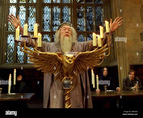 Hogwarts Portrait Stills