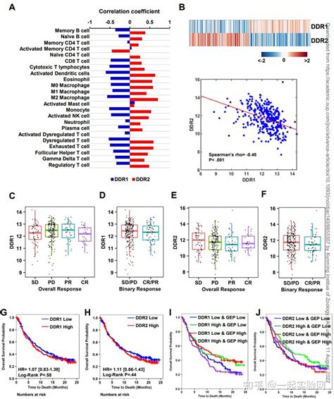 盘状结构域受体 Ddr 驱动的基因签名作为患者对pd L1免疫检查点治疗反应的标记 知乎