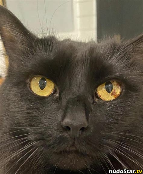 Jeri Ryan Sevennine Jerilryan Nude Onlyfans Photo Nudostar Tv