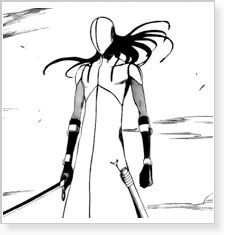 Bleach Kaname Tosen Hollow Form Cosplay Bleach Cosplay Hollow Form