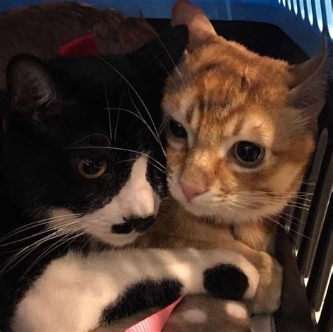 예외처리try Catch 문