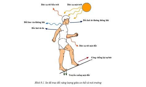 Năng Lượng Toàn Phần Là Gì Hiểu Rõ Và ứng Dụng Thực Tế