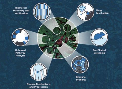 Spatial Transcriptomics Roswell Park Comprehensive Cancer Center Buffalo Ny
