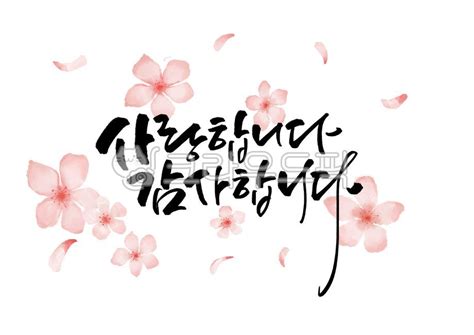 사랑합니다 감사합니다 감사문구 사랑문구 인사말 사진 이미지 일러스트 캘리그라피 빛내림작가