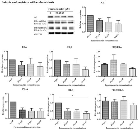 Relative Expression Levels Of Androgen Receptor Ar Estrogen Receptor