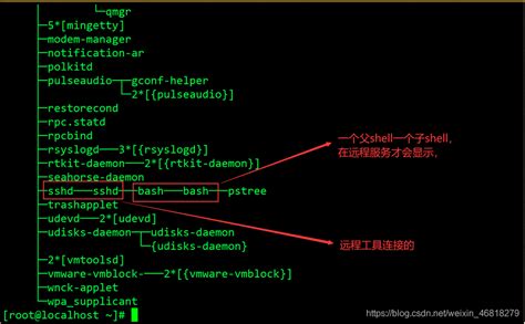 Shell基础 Bash变量 环境变量（图文详细）bash 环境变量 Csdn博客