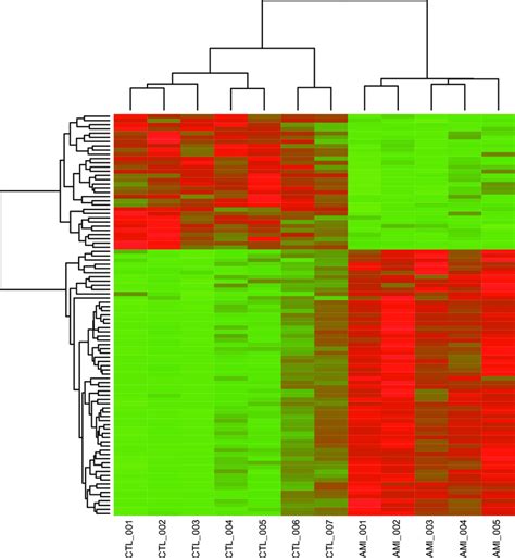 gene level analysis heat map showing hierarchical clustering between