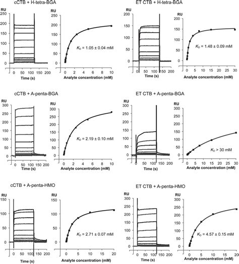 Representative Spr Sensorgrams And Affinity Plots Spr Experiments Were Download Scientific