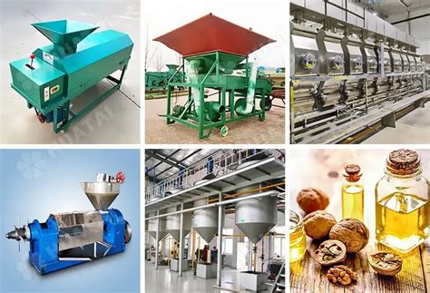 Premium Walnut Oil Processing Solutions By Huatai