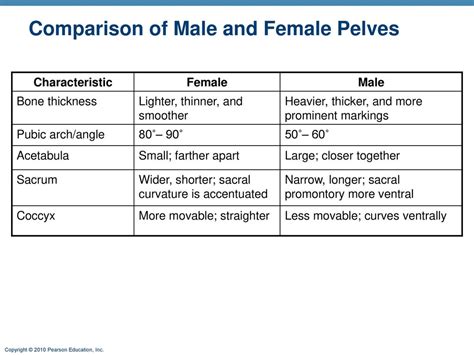 Appendicular Skeleton Ppt Download