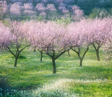 Sue Bishop Landscape Photography Tour Tutor Photographic Tour Leader Light And Land