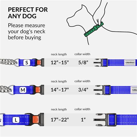 How To Adjust A Martingale Dog Collar At Phillip Hayes Blog