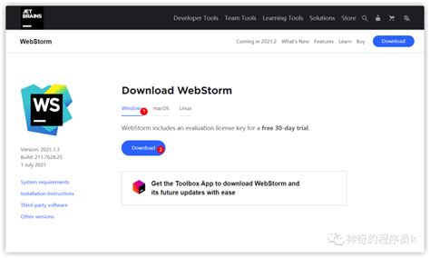 Webstorm