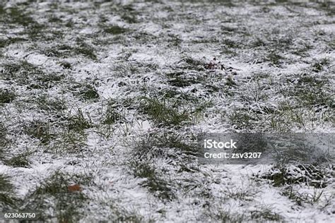 눈 아래 잔디의 차가운 우울한 그림 슬픈 개념 0명에 대한 스톡 사진 및 기타 이미지 0명 1월 2월 Istock