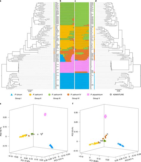 Population Genomic Analyses Of 118 Representative Cultivated And Wild Download Scientific
