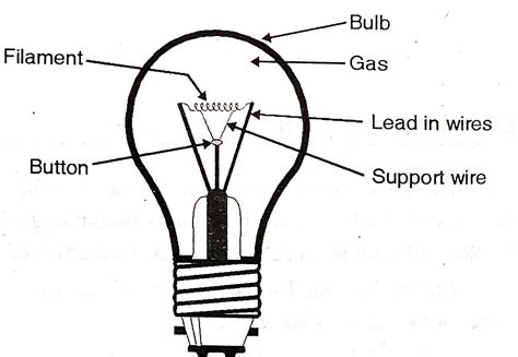 What Are The Components Of A Incandescent Light Bulb At Jennifer Vidal Blog