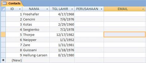 Menghitung Umur Dengan Kode VBA Ms Access Ms Access And VBA Development Tutorial