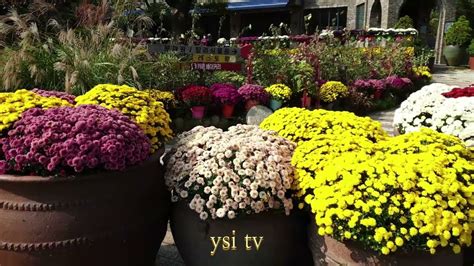 충남 천안시 대한민국 민간정원1호 아름다운정원 화수목 전경 고화질영상 Youtube