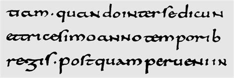 Carolingian Minuscule A Calligraphic Standard
