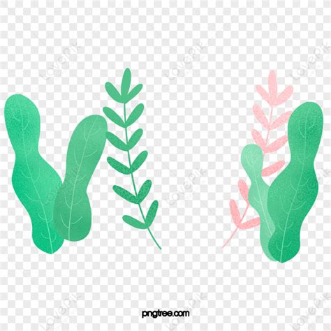 녹색 분홍색 식물 일러스트 잎정체자연식물학 Png 일러스트 무료 다운로드 Lovepik