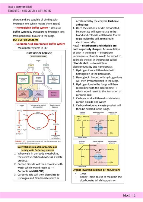 Solution Clinical Chemistry Blood Gases Ph Buffer Systems Notes