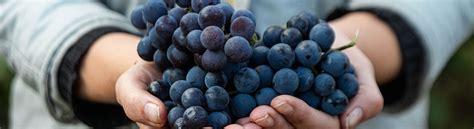 A Zero Based Approach To Make Critical Npd Decisions Sopheon