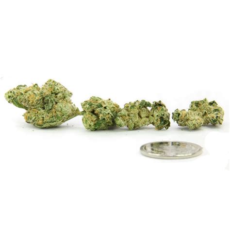 Thin Mints Aaa Small Buds Chronic By Mail