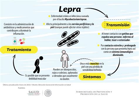 Mycobacterium La Lepra Es Una Enfermedad Crónica E Infecciosa Causada