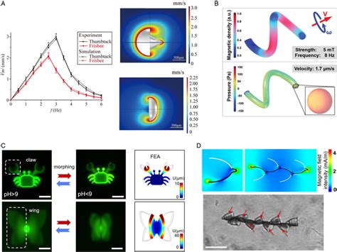 Design Of Mnrs With Different Shapes A Comparison Of Simulation And