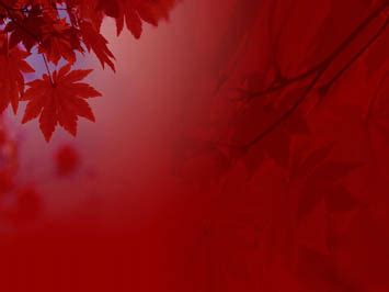 Fall Leaves PowerPoint Background