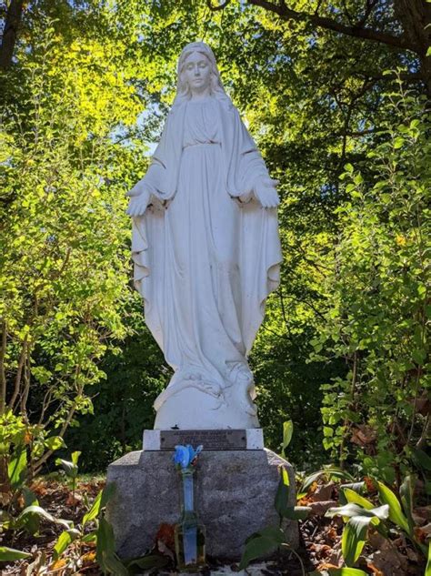 Why Is Vbnetcxaml Vs2019 Is Better Than Vb6 Heres Why