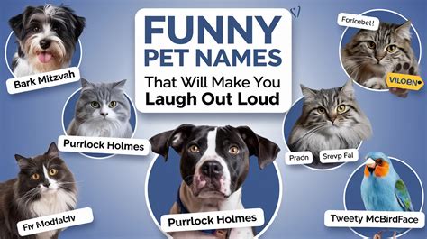 Top 397funny Pet Names That Will Make You Laugh Out Loud