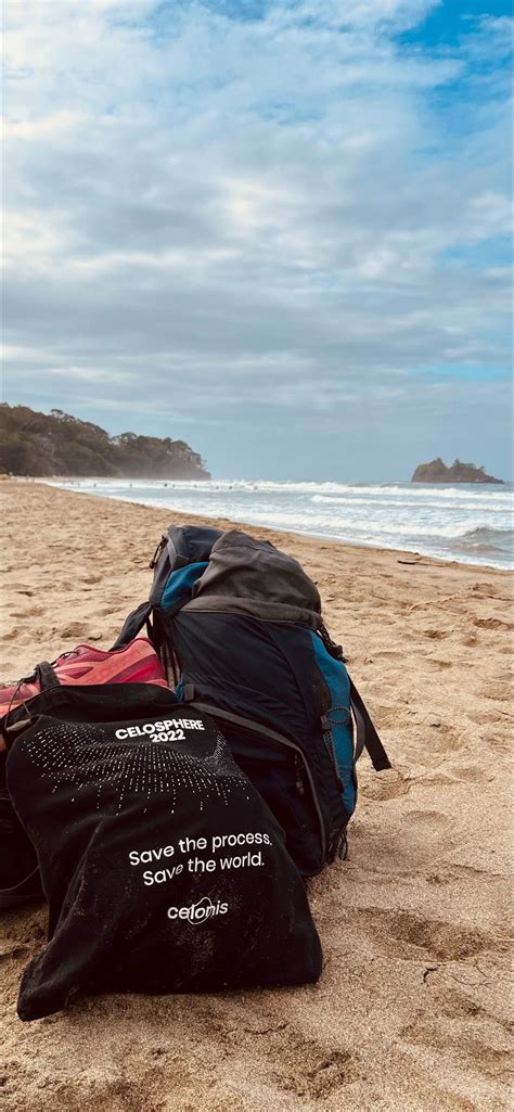 sam khoubrouy pak on linkedin processmining efficiencyboost celonis