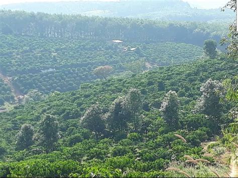 ខេត្ត ៥ នឹង ចុះ ត្រជាក់ ក្នុង កម្រិត ១៧ ២០ អង្សា សេ នៅ ថ្ងៃទី ១៥ ដល់ ២០ មករា