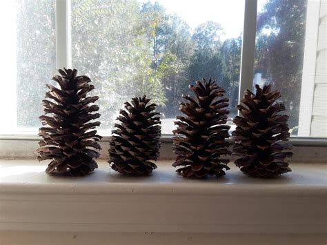 [내 마음의 시] 솔방울의 노래 한국일보 애틀랜타 미주 No 1 정상의 뉴스