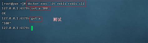 Mall在linux环境下的部署（基于docker容器）mall项目部署liunx Csdn博客