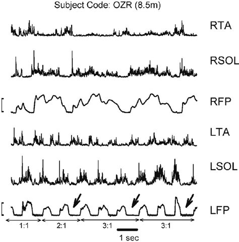Typical Data From A Single Subject 8 5 Months Of Age During Download Scientific Diagram