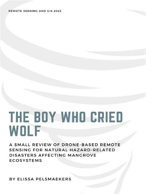 Review On Drone Based Remote Sensing Gis Assignment Pdf