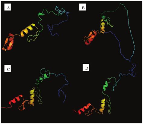 Spatial Configuration Of Exon Demonstrated By Homology Modeling And Download Scientific