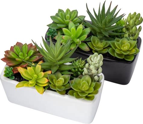 Set Van 2 Kunstmatige Vetplanten Kamerplanten Decoratieve Woonkamer