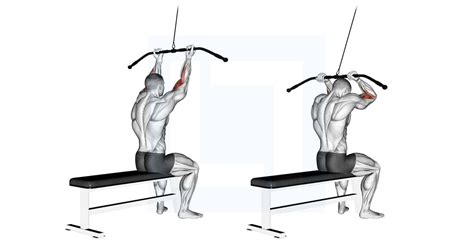 Reverse Push Up Guide Benefits And Form
