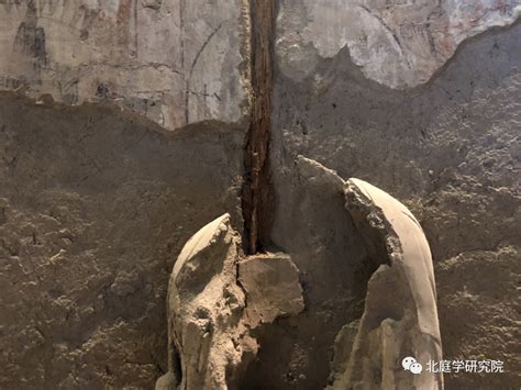 北庭高昌回鹘佛寺木骨泥墙中的木构件 北庭故城遗址